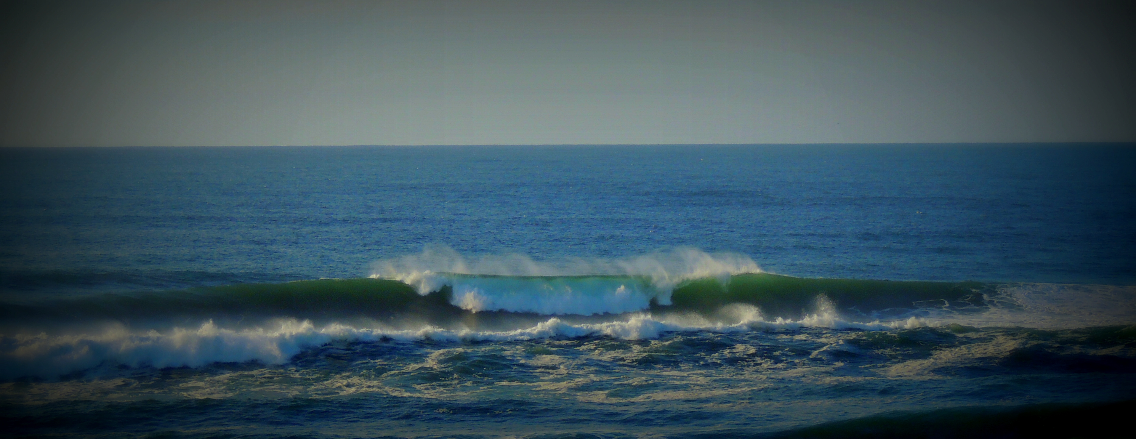 Glen Eden, Oregon, in November | It's All Relative....