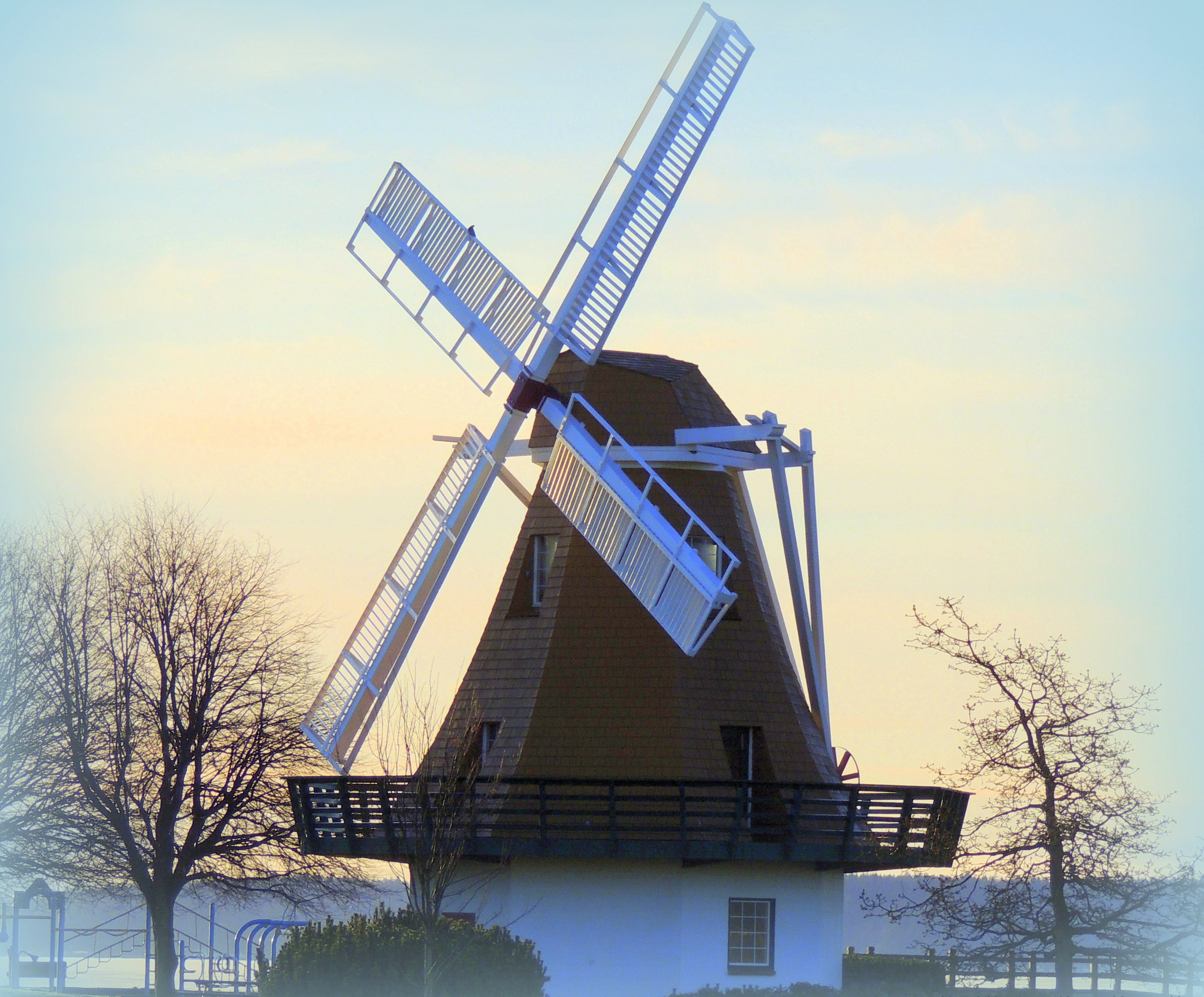 Award Winners! | It's All Relative....